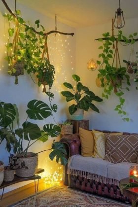 Stunning Plant Room Ideas to Transform Your Space