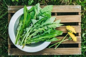 19 Delicious Foods That Start with D You Need to Try